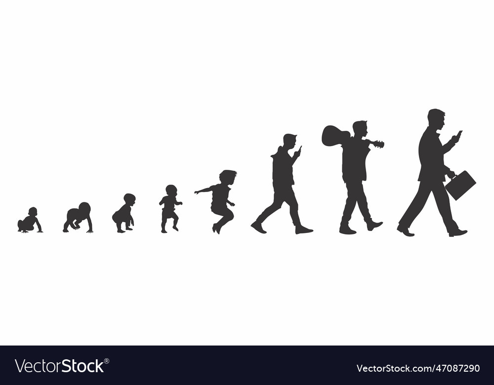 Work evolution without shadow Royalty Free Vector Image
