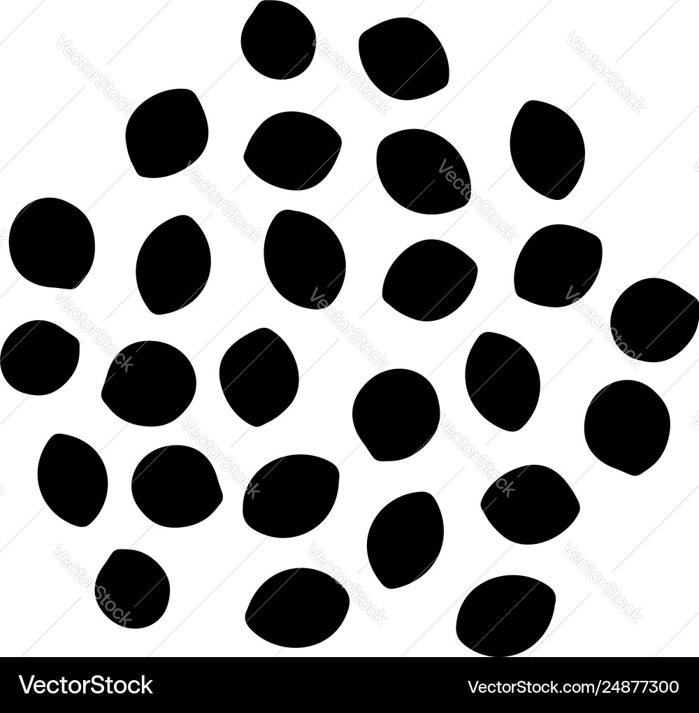 Millet seeds Royalty Free Vector Image - VectorStock
