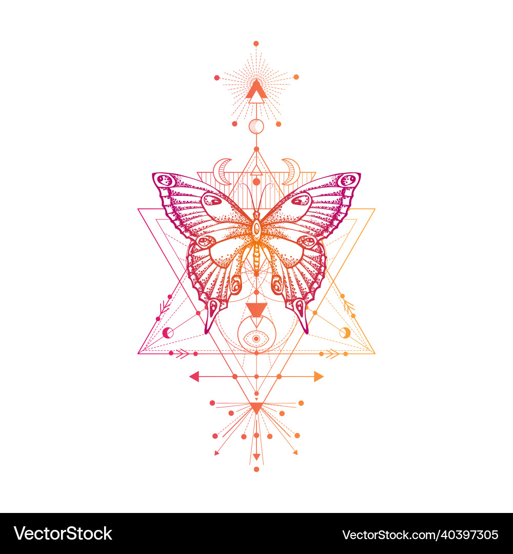 Butterfly and geometric symbol Royalty Free Vector Image