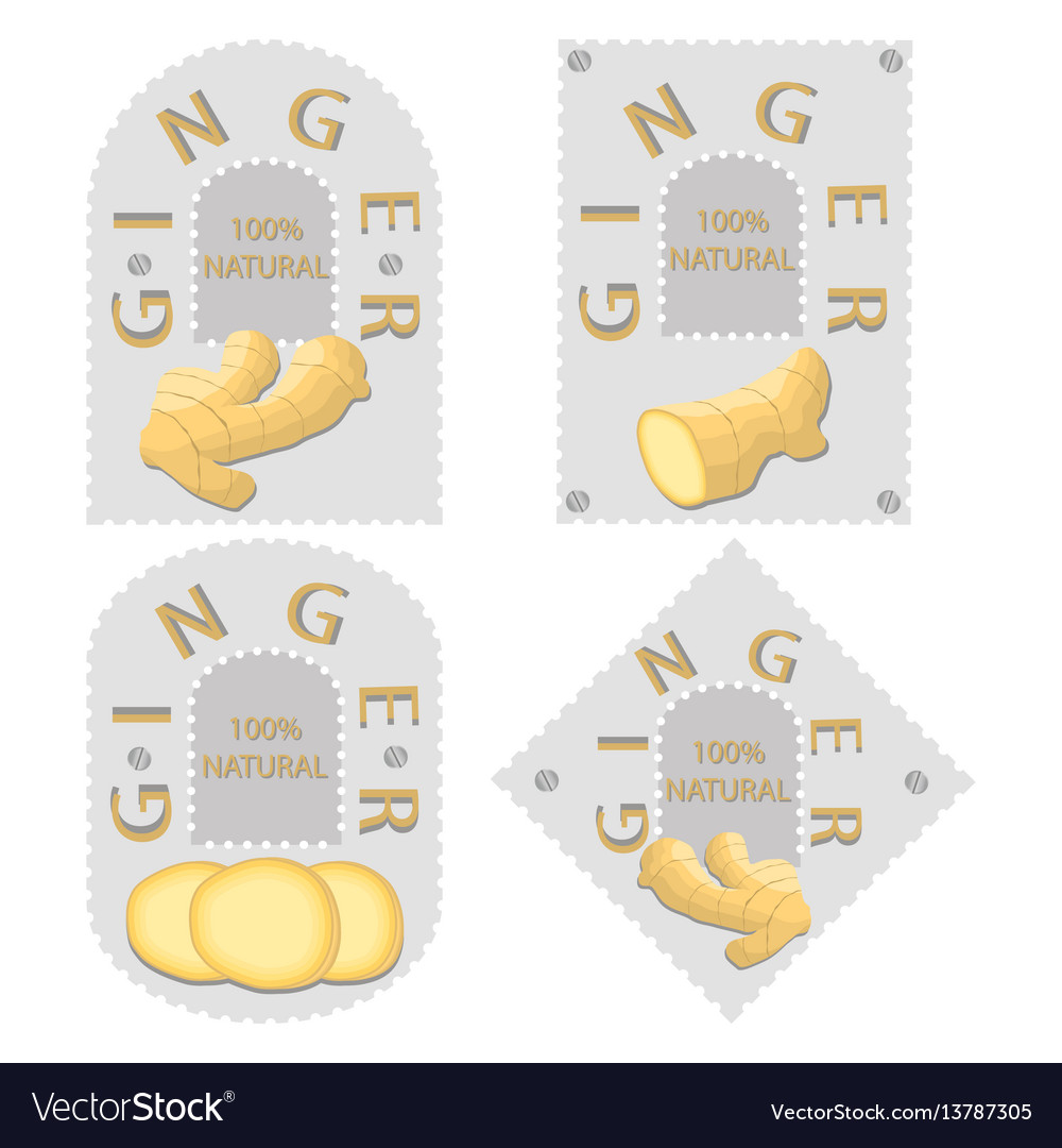 Ginger Royalty Free Vector Image - VectorStock