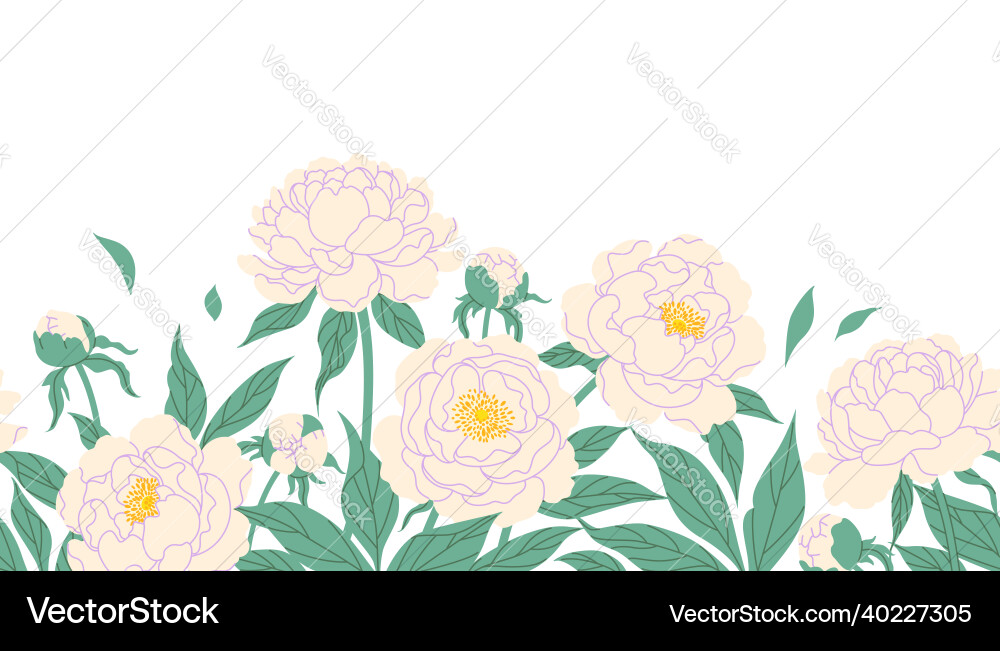 Seamless border with white peony flowers Vector Image