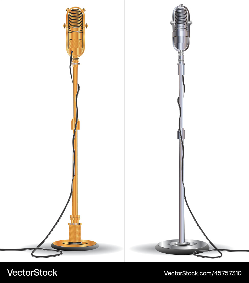 Realistic microphones professional metal mics Vector Image