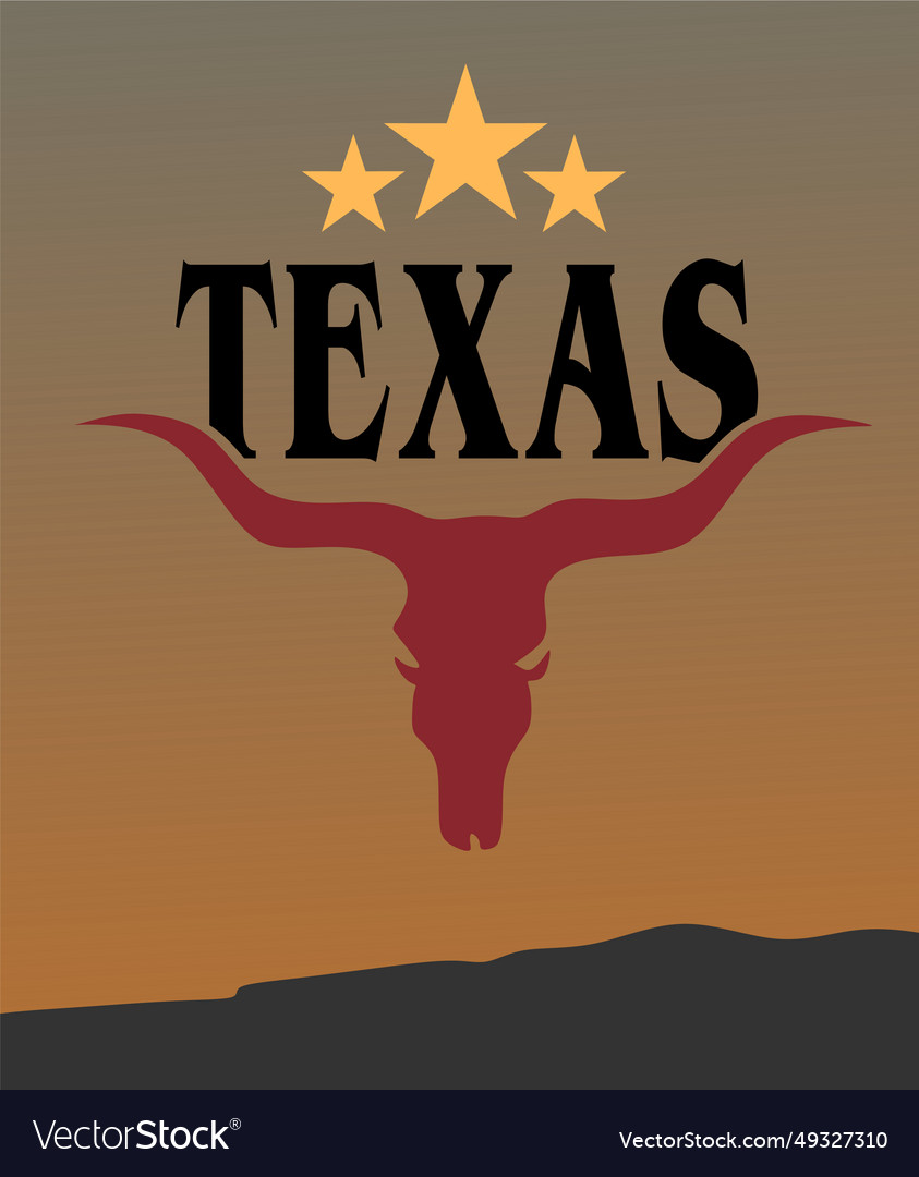Texas the lone star state Royalty Free Vector Image