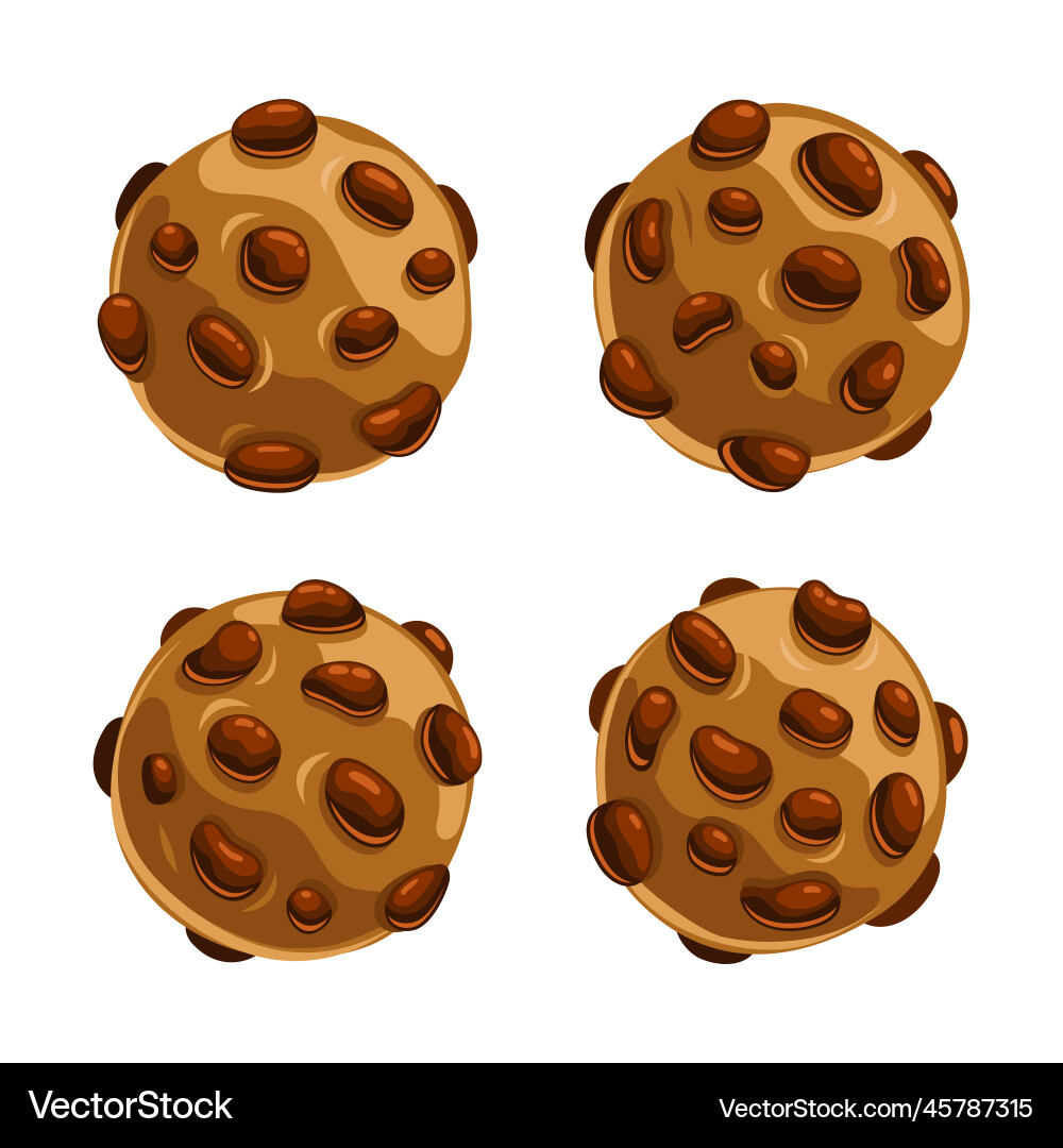 Chocolate chip cookies set on white background Vector Image