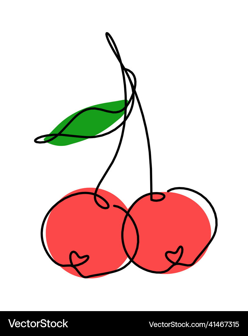 Drawing line color cherry on the white background Vector Image