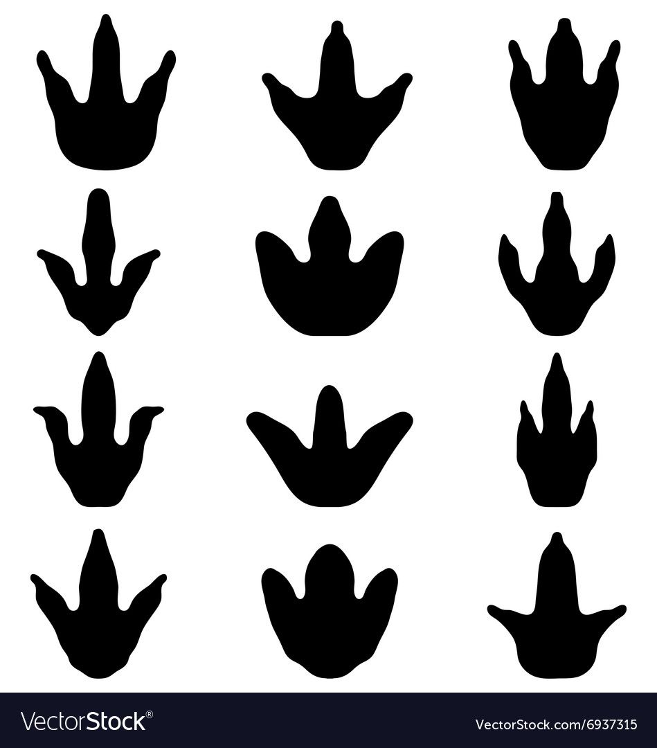 Footprints Of Dinosaur Royalty Free Vector Image