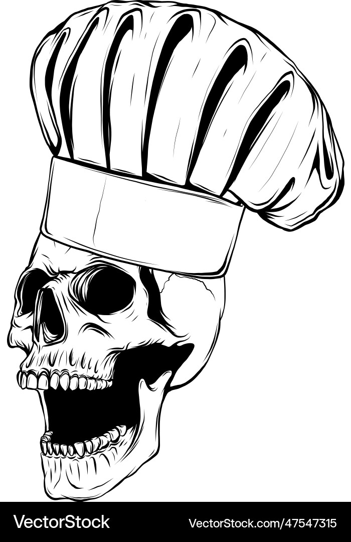 Of outline human skull design Royalty Free Vector Image