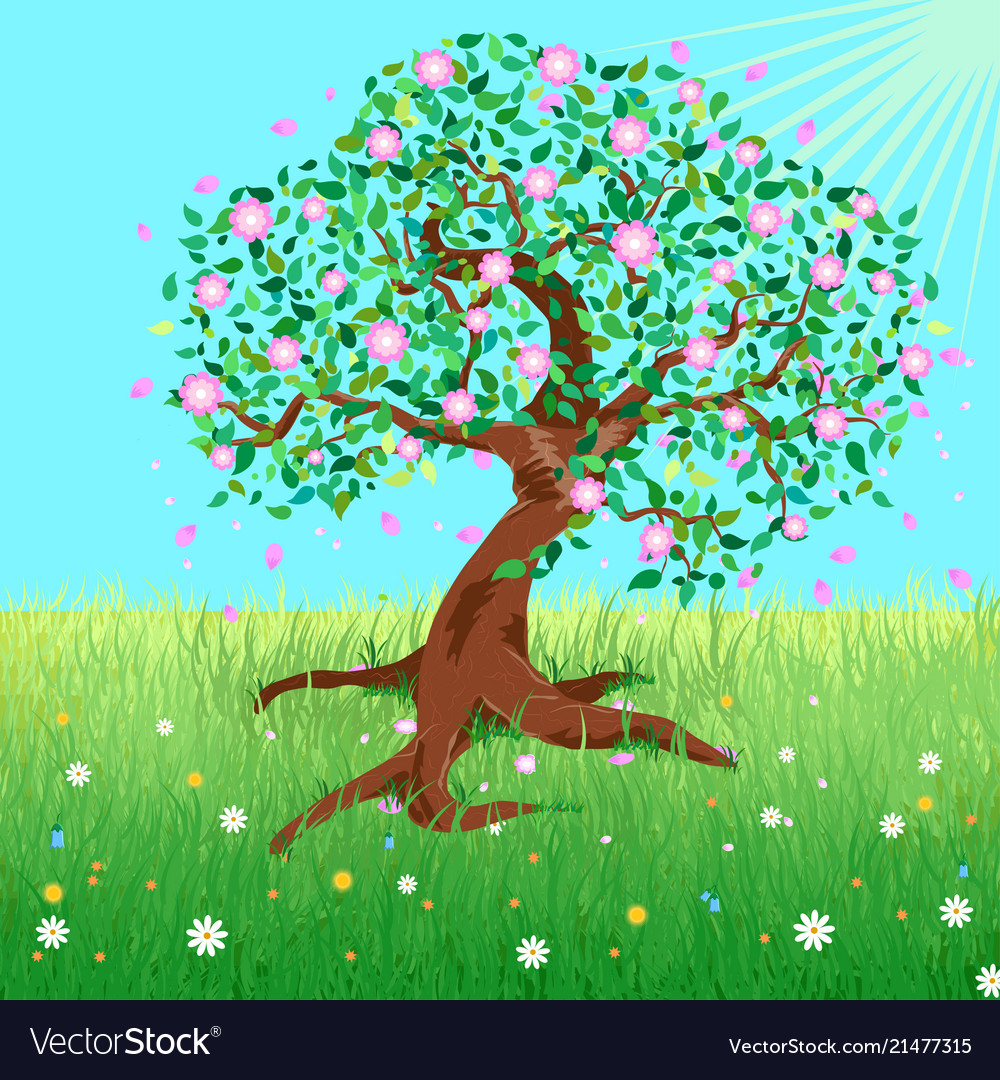 Spring tree on flowering meadow Royalty Free Vector Image