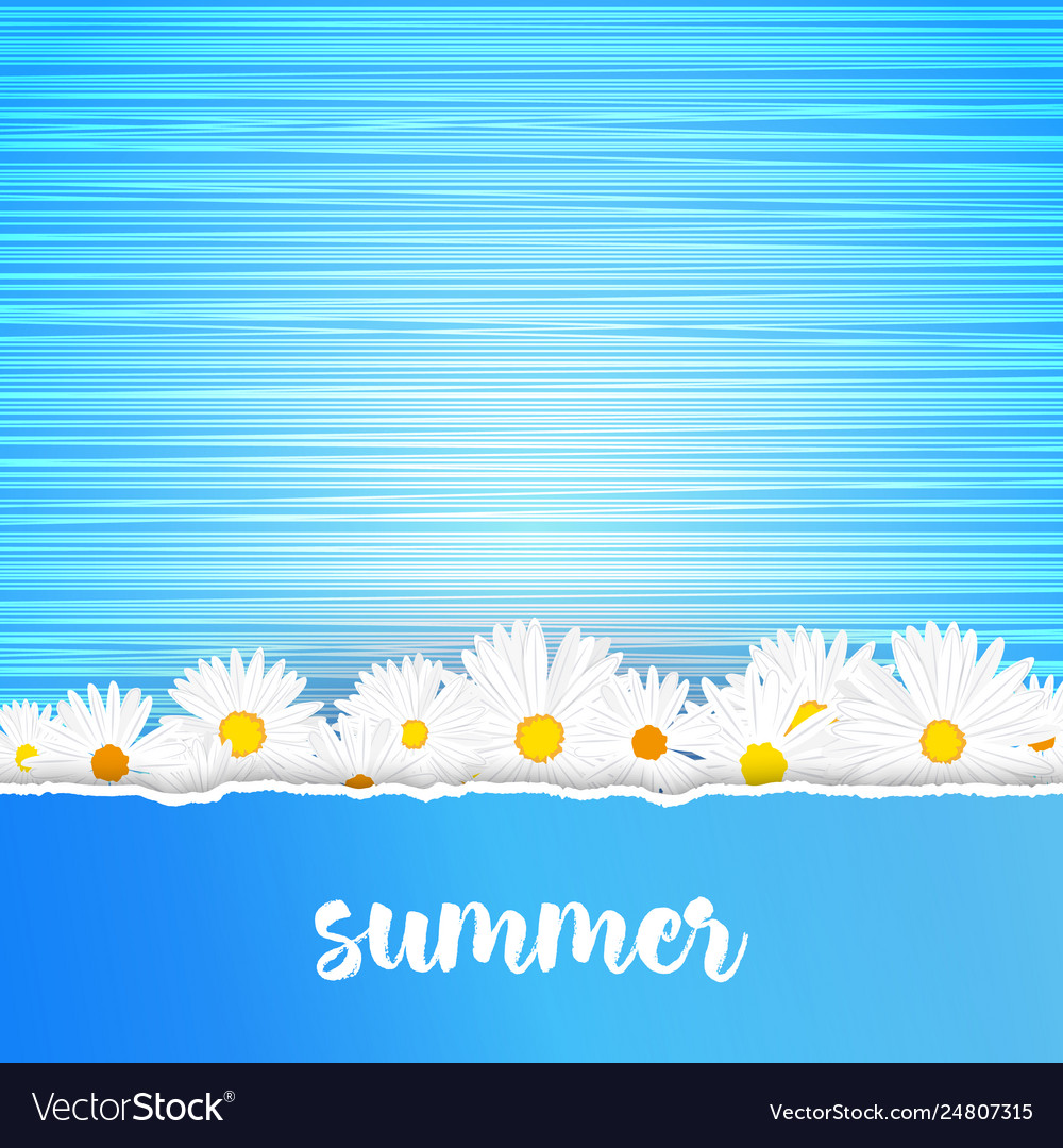 Summer time banner with floral frame on canvas Vector Image