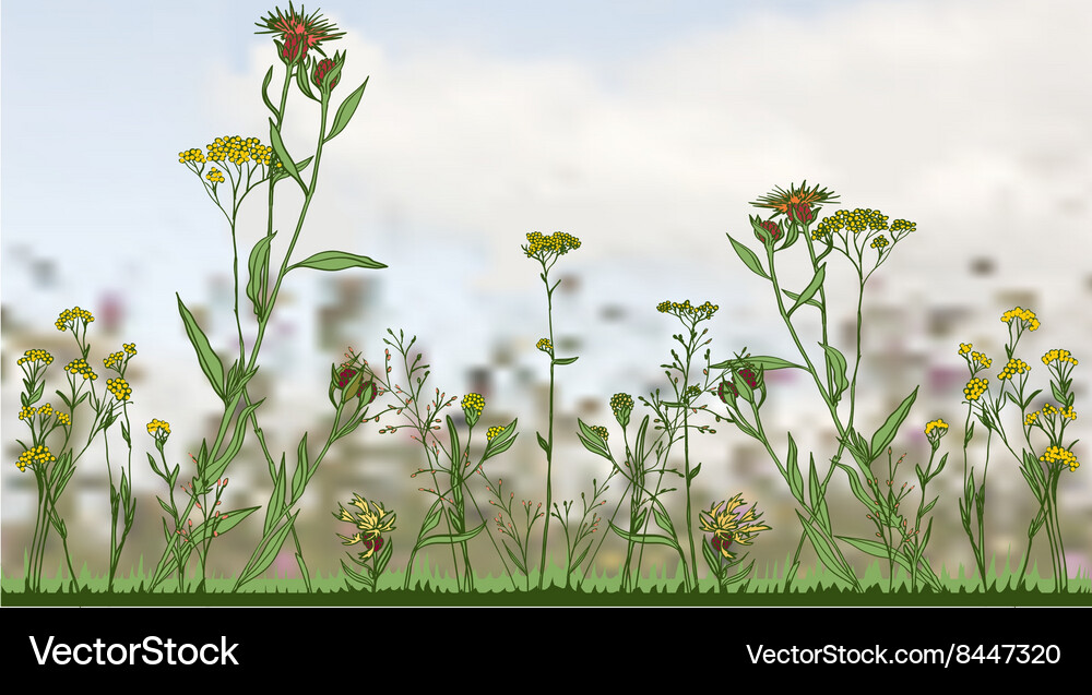 Colorful flowering plant Royalty Free Vector Image