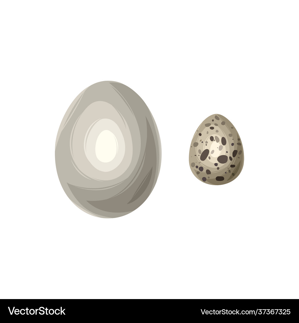Chicken and quail egg in cartoon style Royalty Free Vector