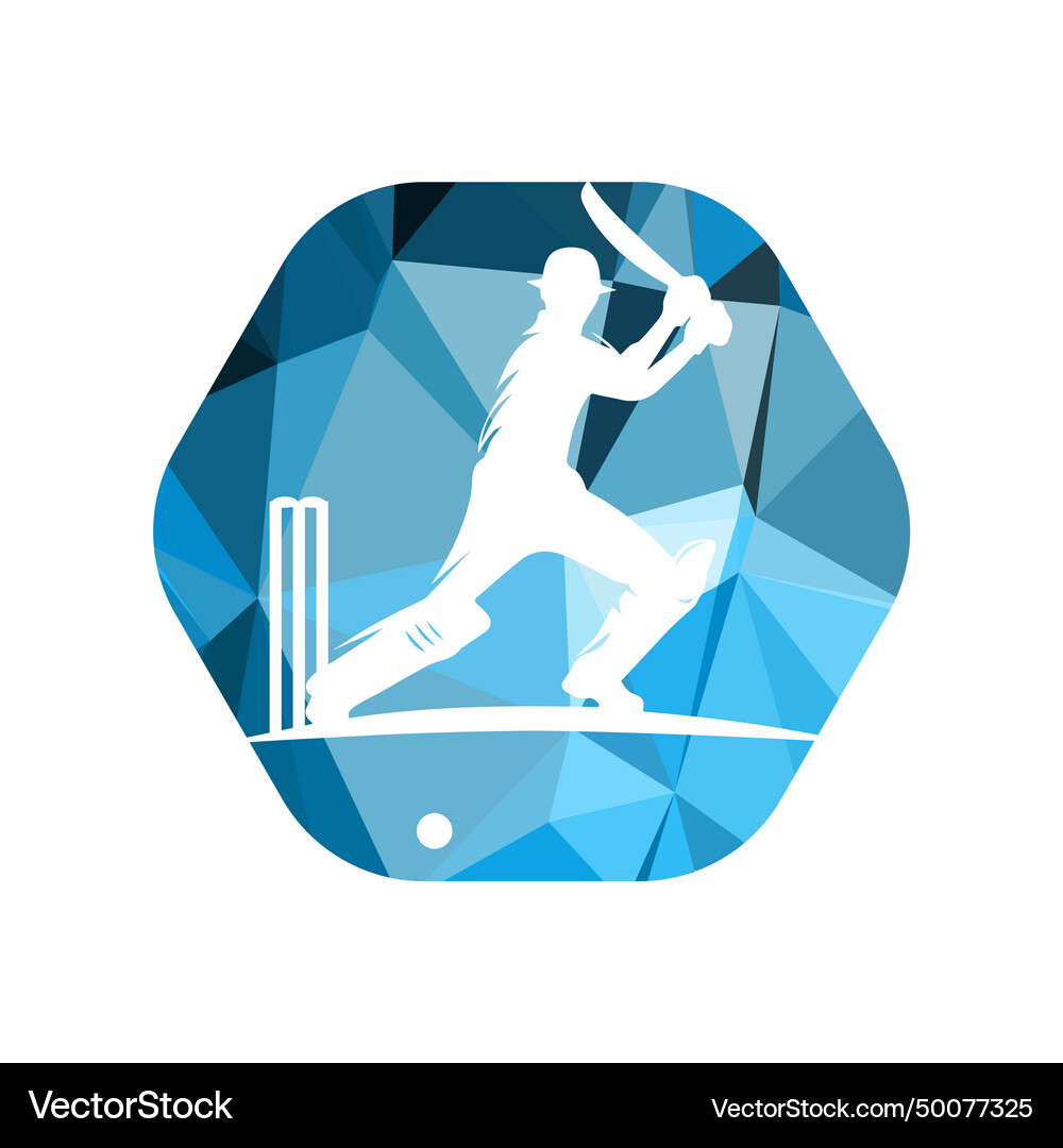 Cricket player logo inside a shape of hexagon Vector Image