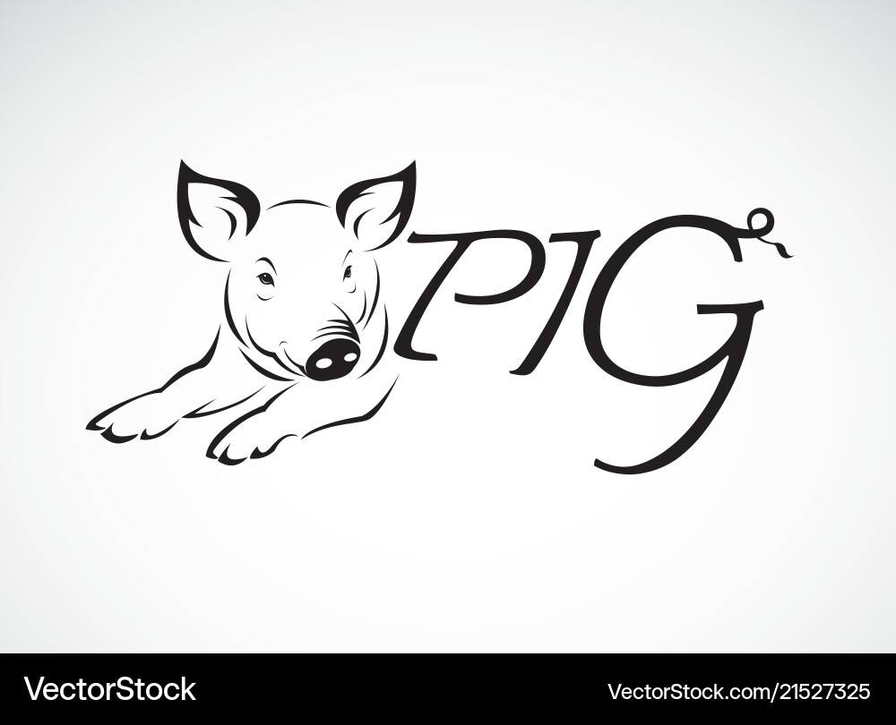 Design a pig is text on a white background farm Vector Image