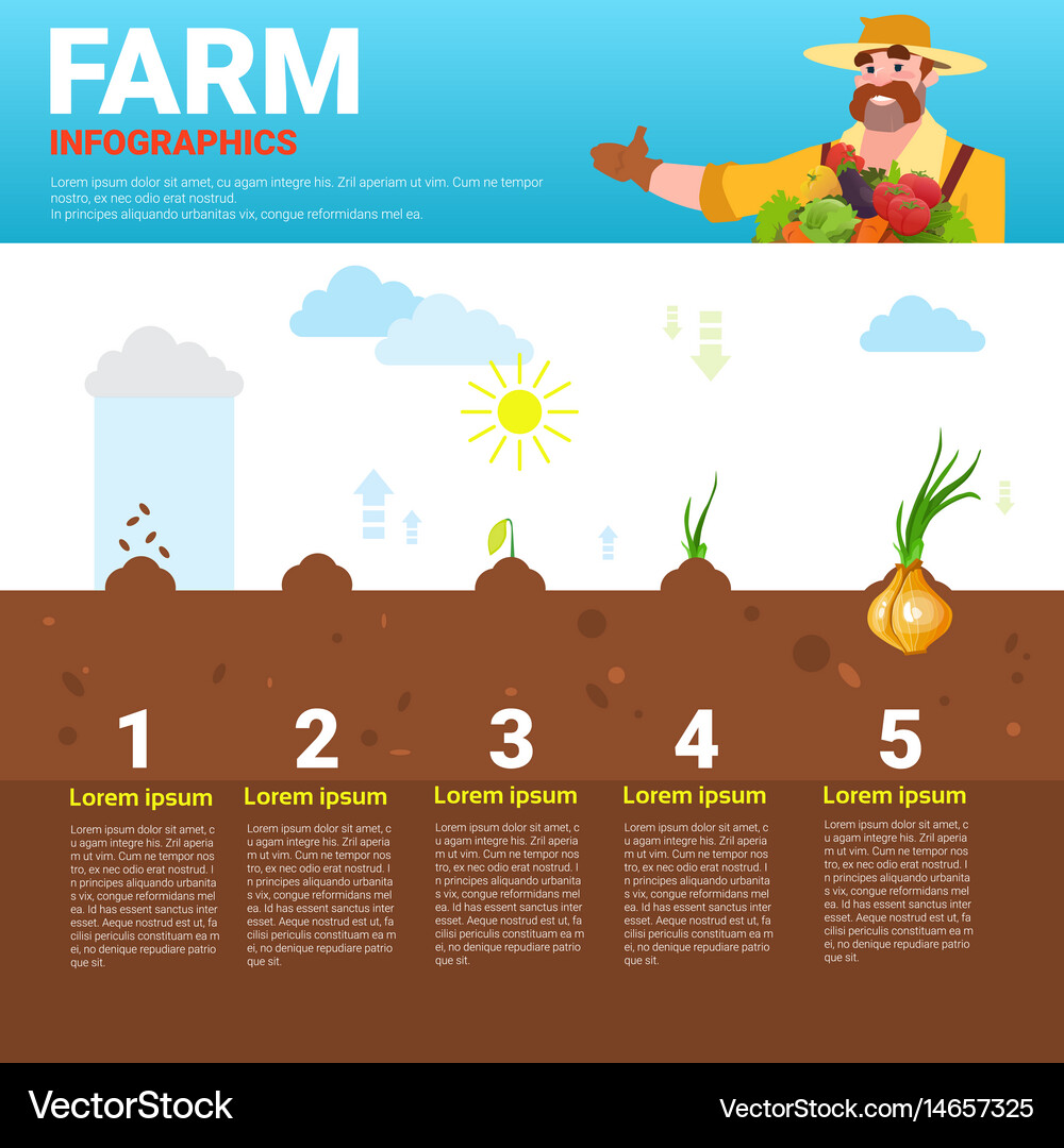Farming infographics eco friendly organic natural Vector Image