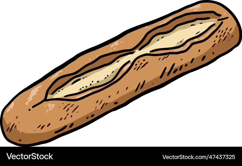 Fresh baguette sketch on white background Vector Image