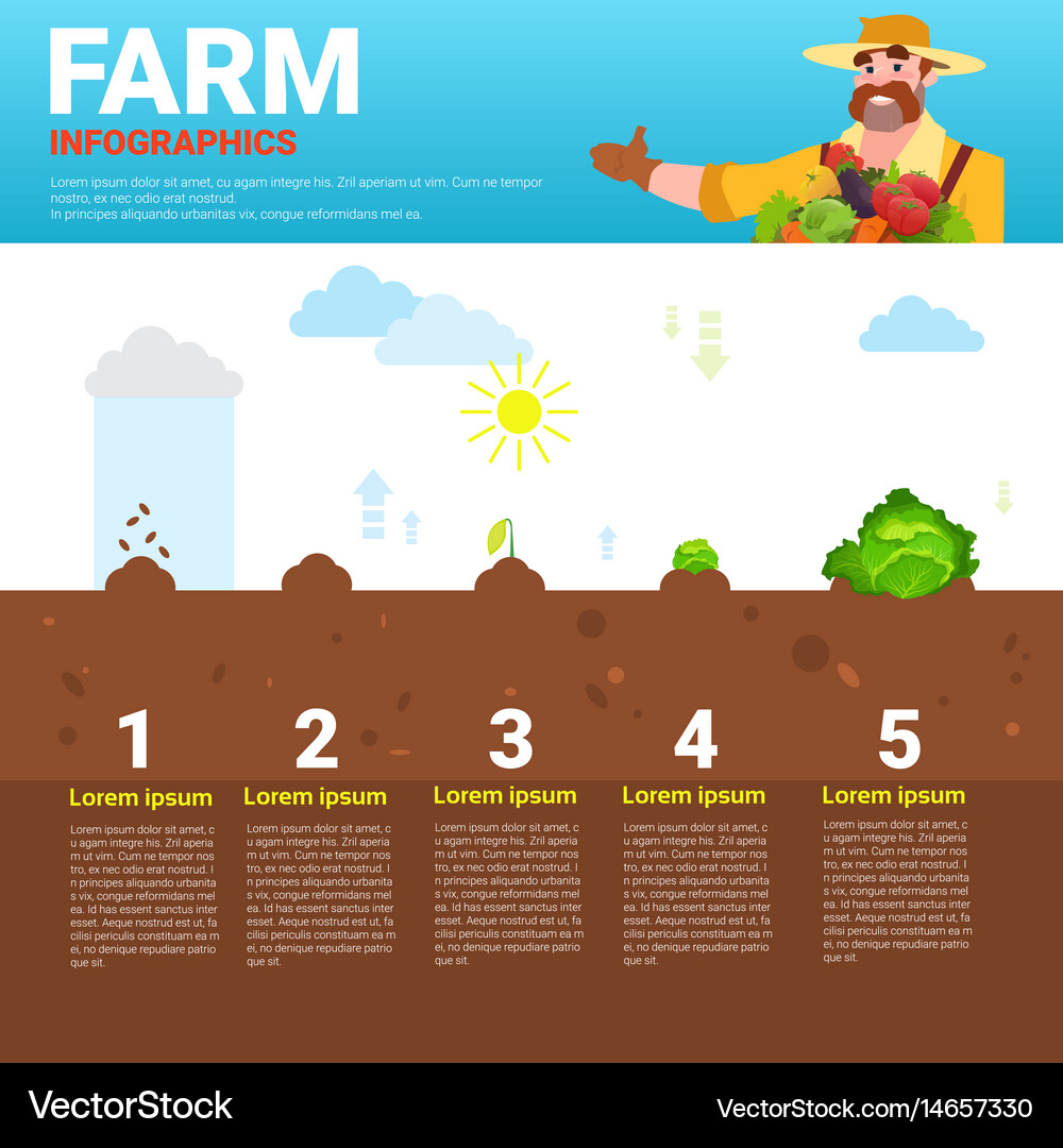 Farming infographics eco friendly organic natural Vector Image