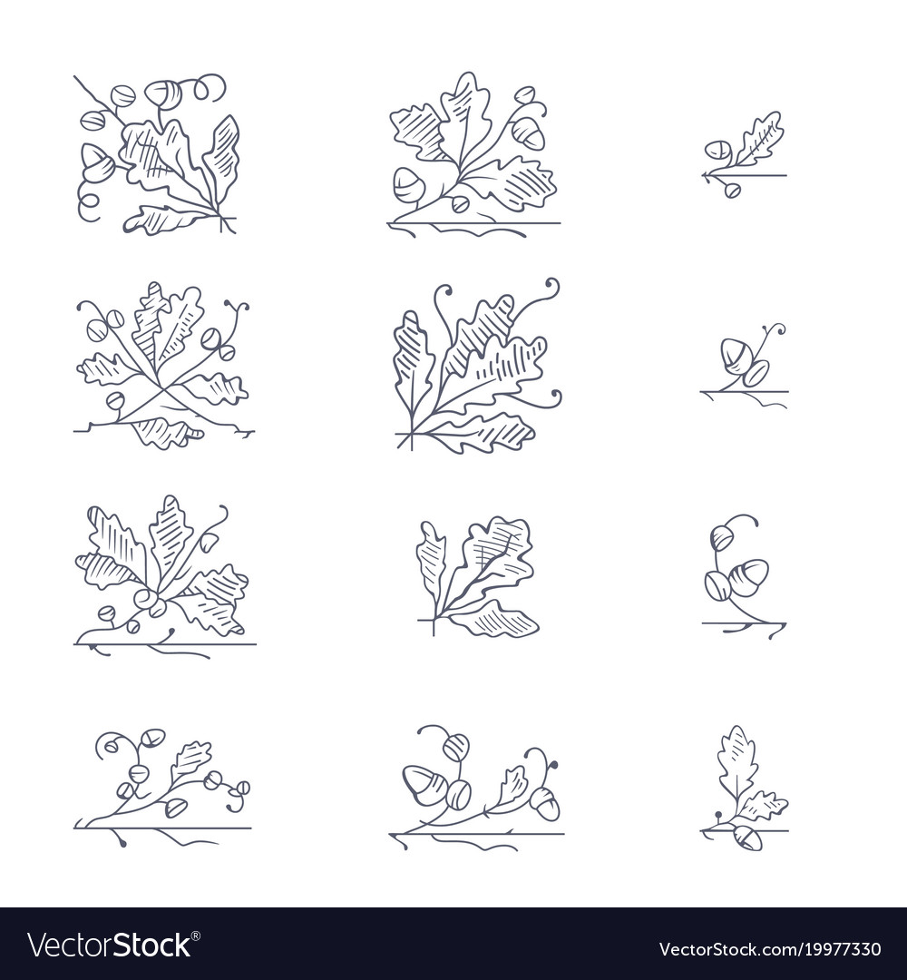Set decorative flourish ornaments Royalty Free Vector Image
