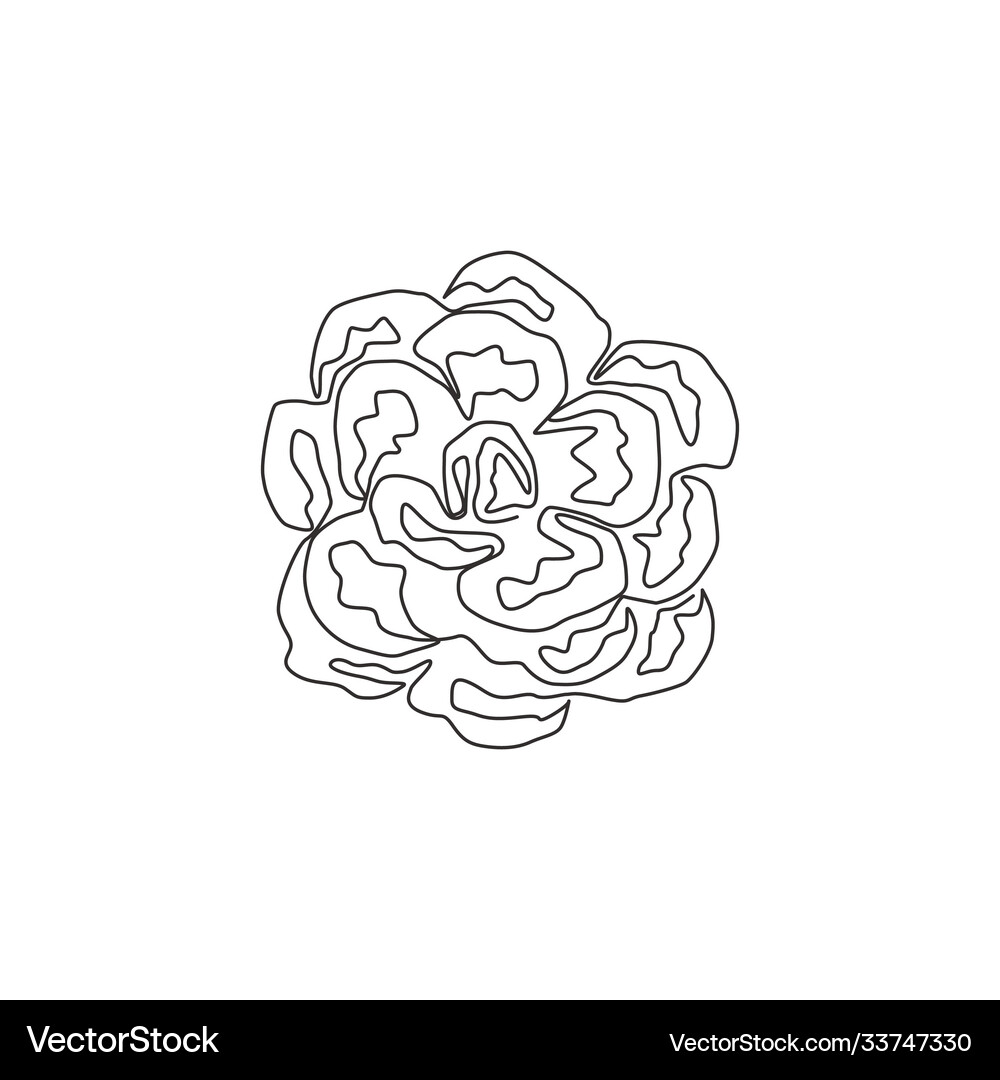 Single one line drawing beauty fresh carnation Vector Image