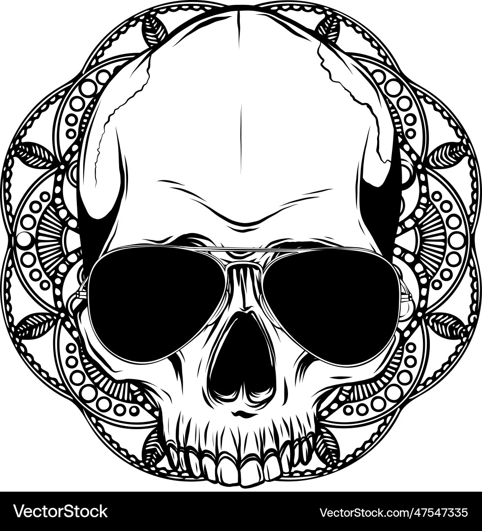 Of outline human skull design Royalty Free Vector Image