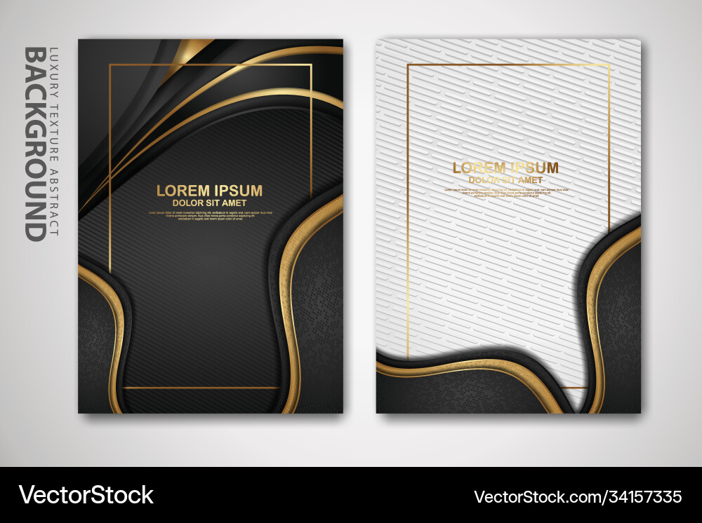 Two set cover design template with luxury and Vector Image