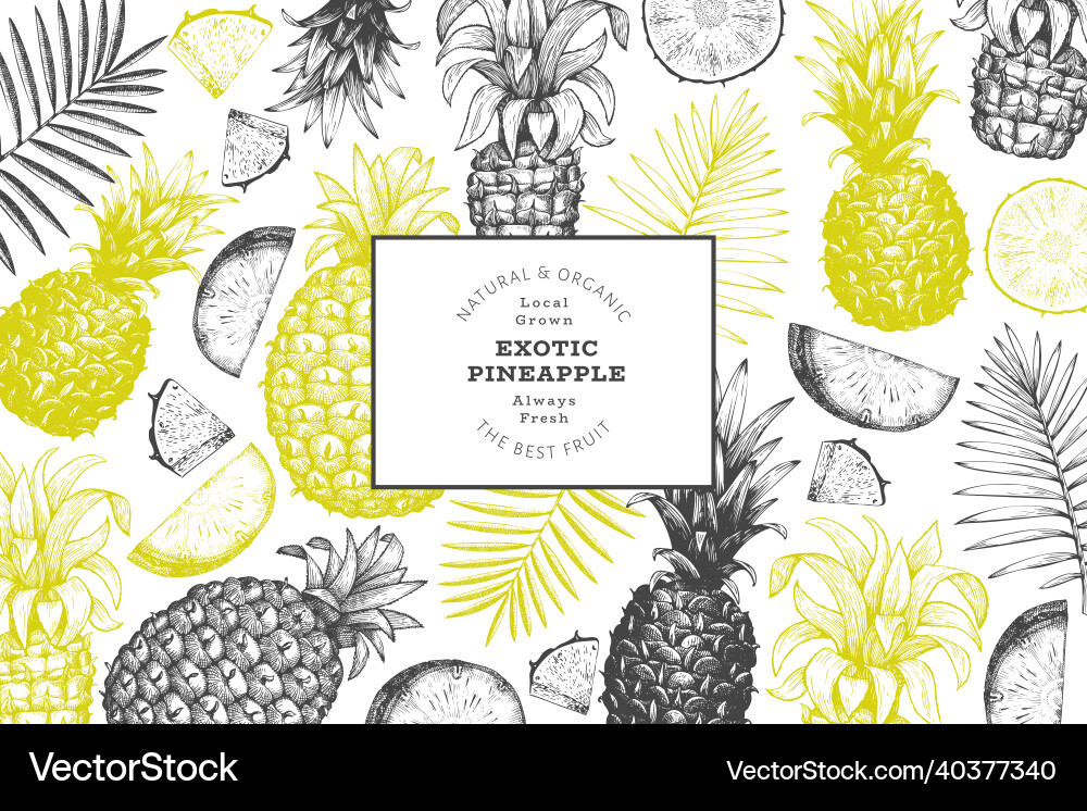 Hand drawn sketch style pineapple banner organic Vector Image