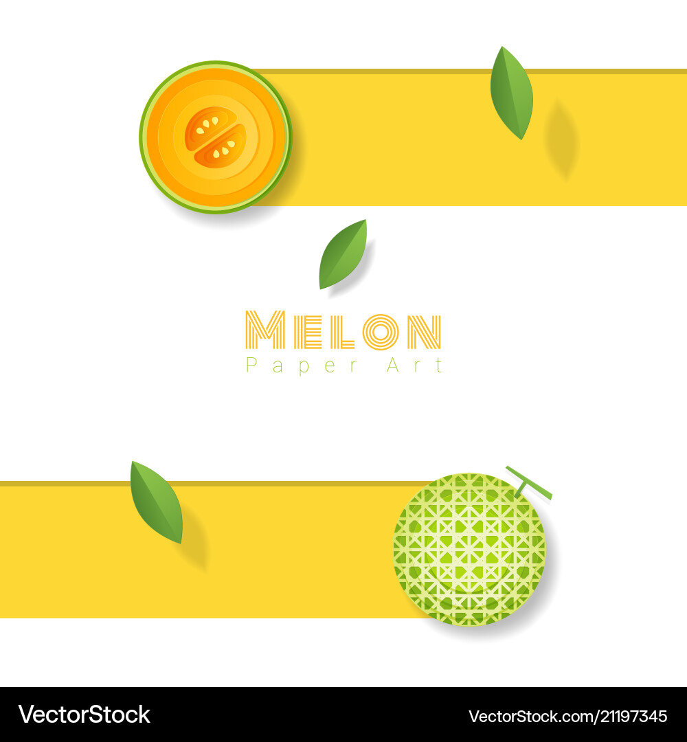 Fresh melon fruit background in paper art style Vector Image