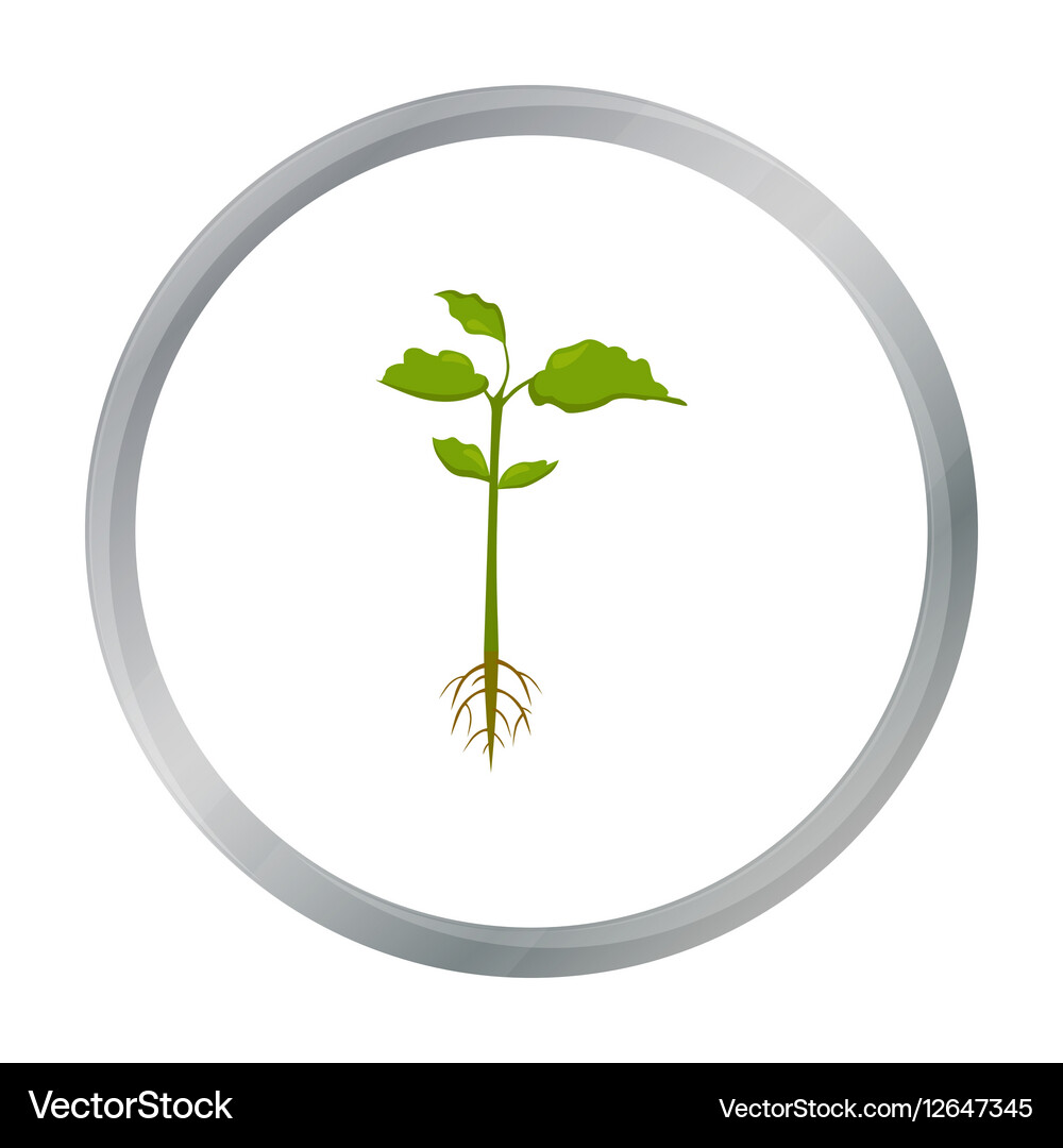 Plant icon of for web Royalty Free Vector Image