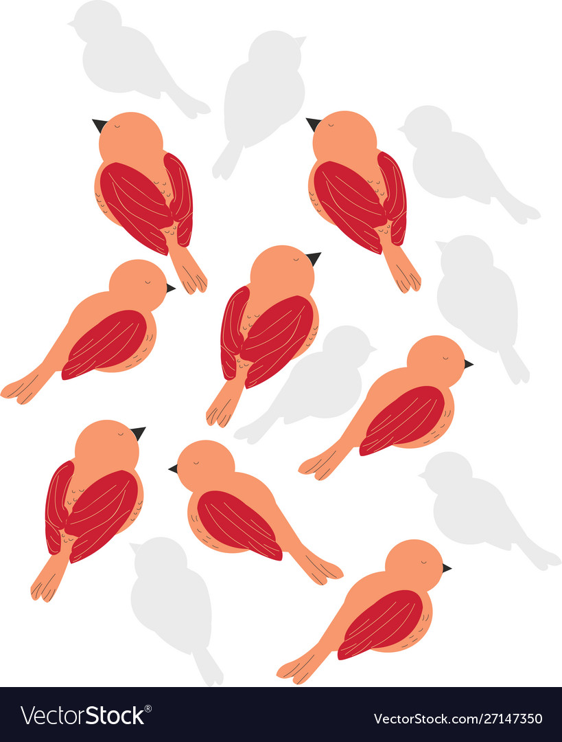 Birds Royalty Free Vector Image - VectorStock