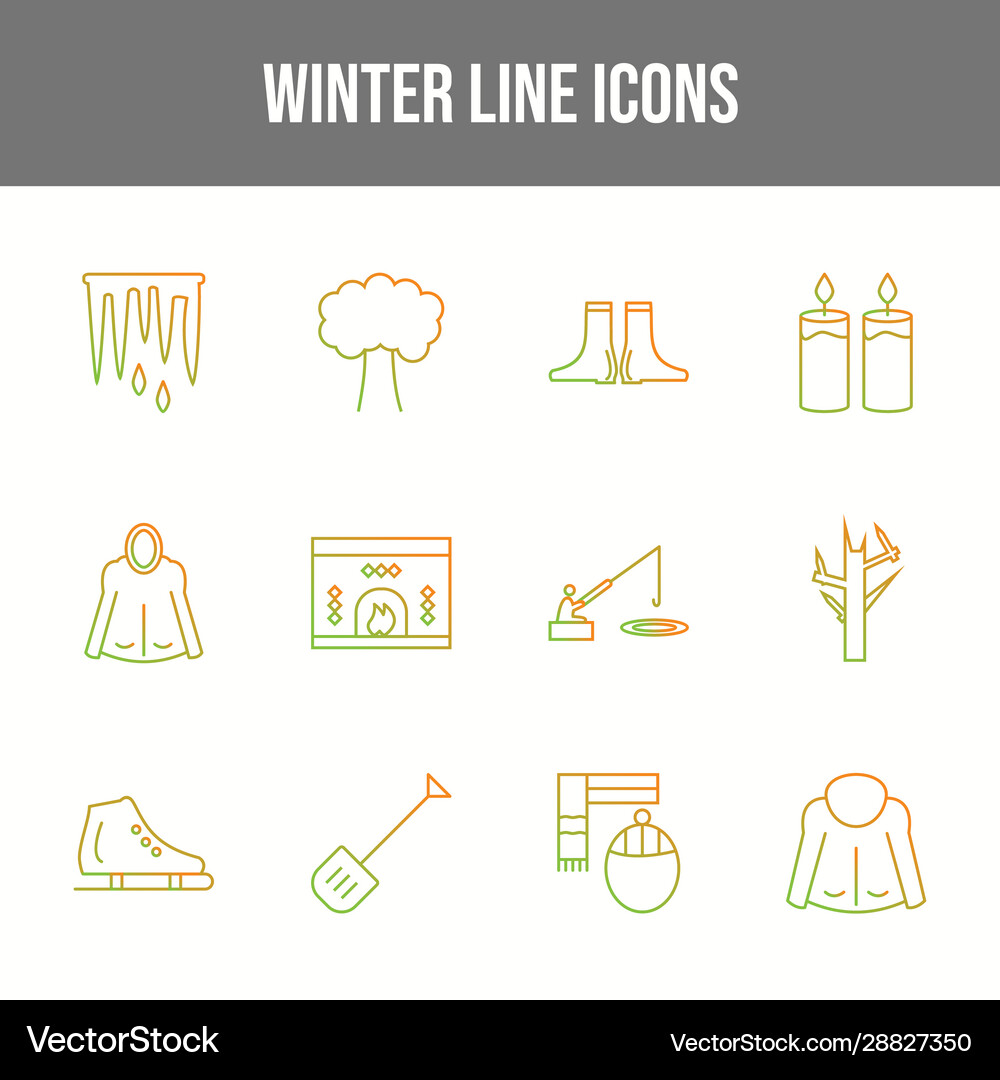 Set 12 unique winter icons Royalty Free Vector Image