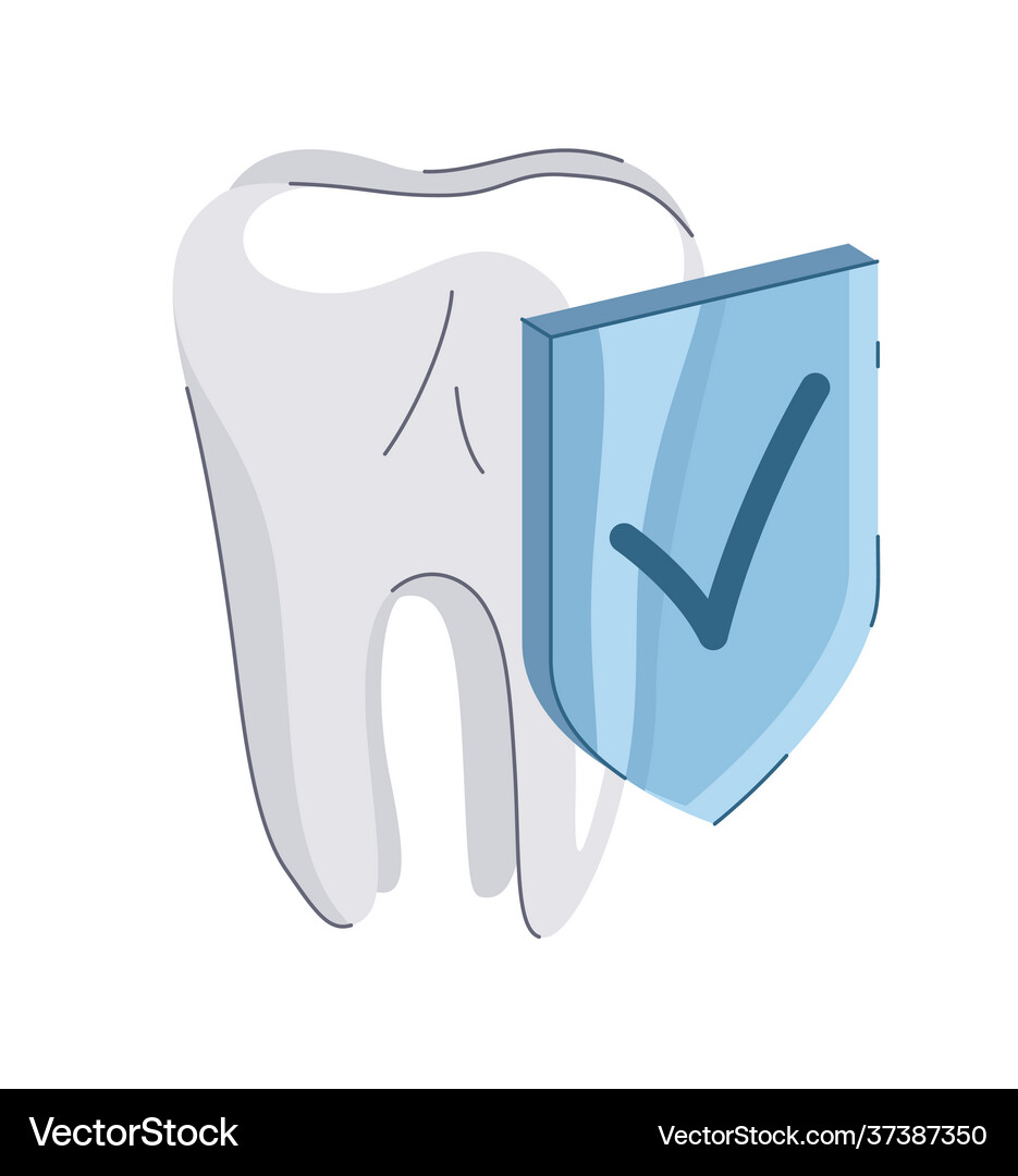White healthy tooth with protection shield Vector Image