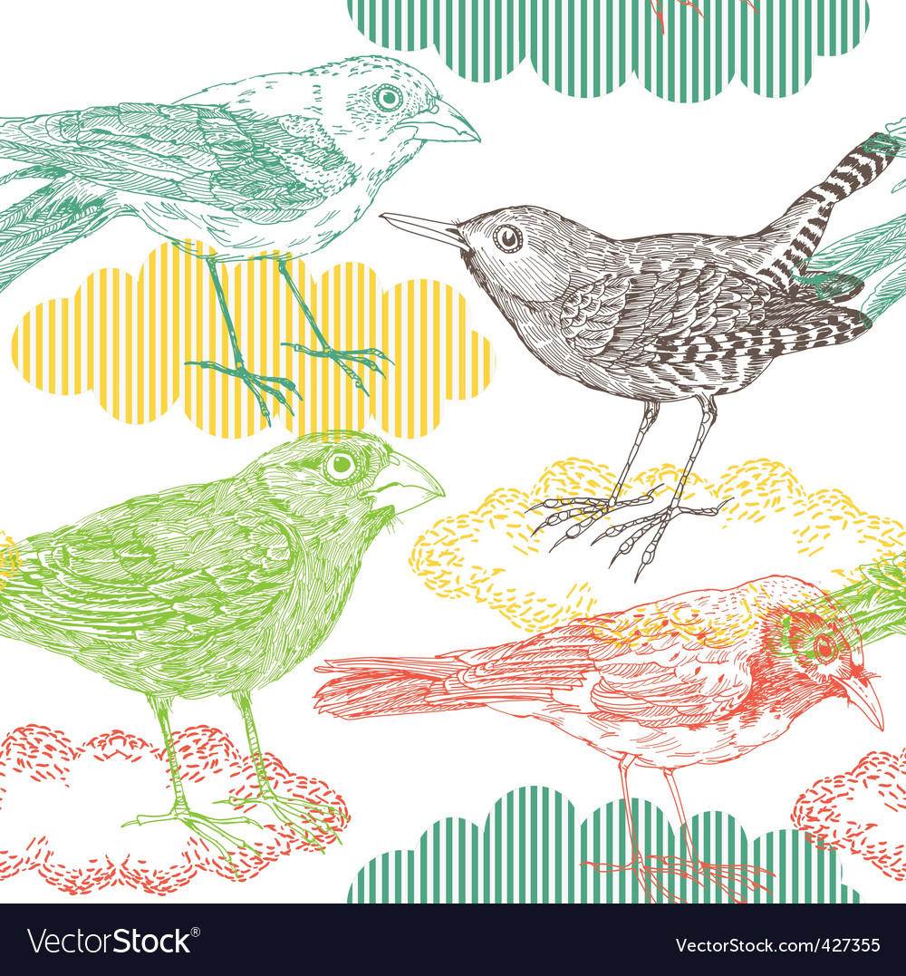 Birds Royalty Free Vector Image - VectorStock