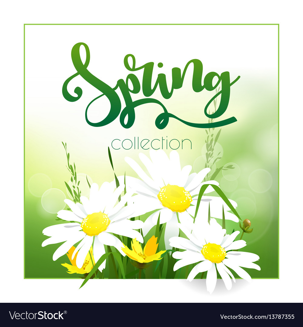 Spring time on background with spring flowers Vector Image
