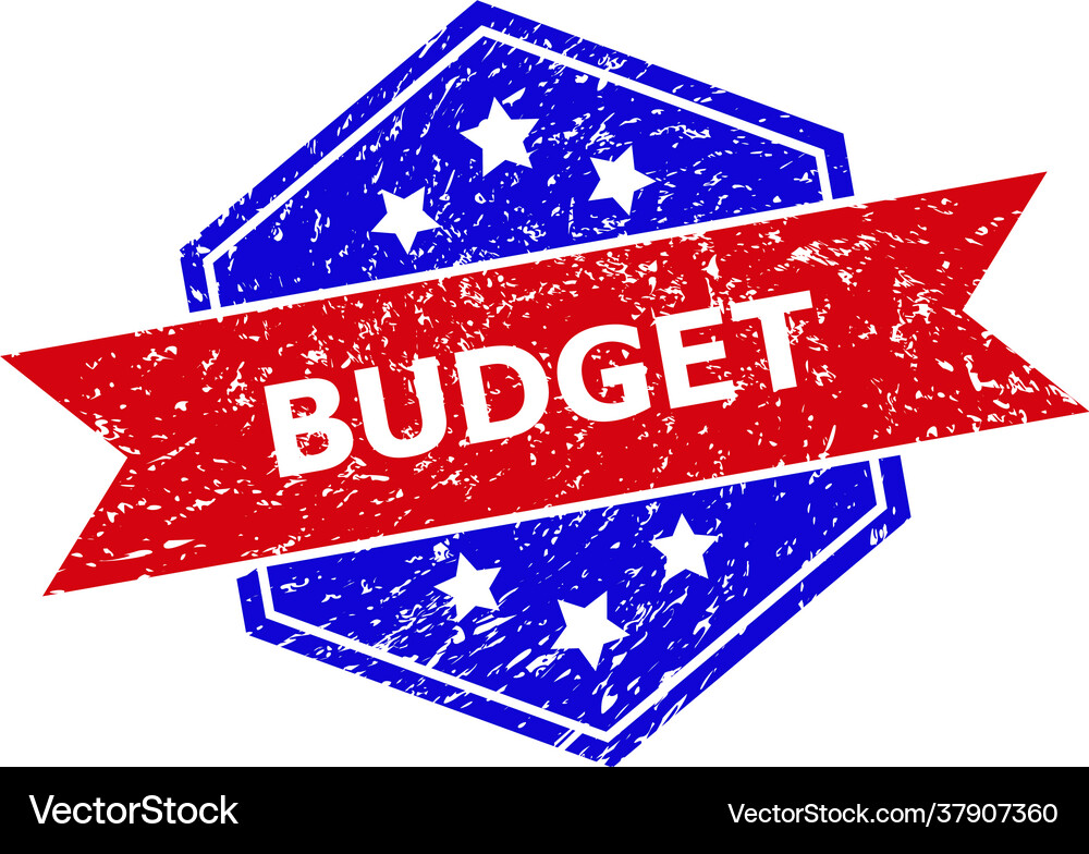 Hexagonal bicolor budget stamp seal with grunged Vector Image