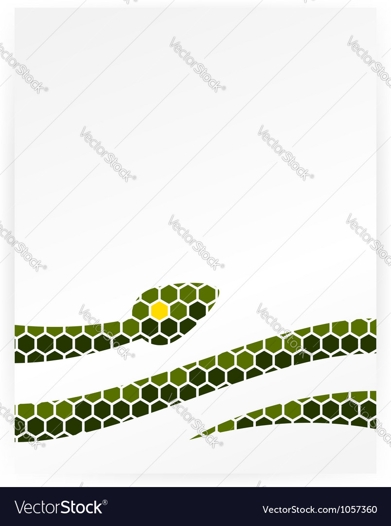 Snake background Royalty Free Vector Image - VectorStock