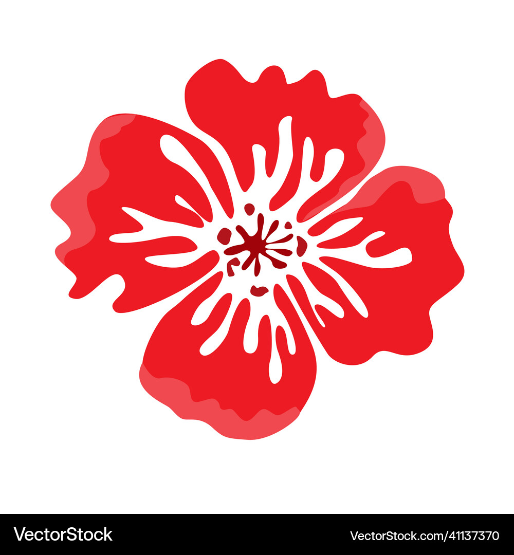 Abstract red poppy isolated on white background Vector Image
