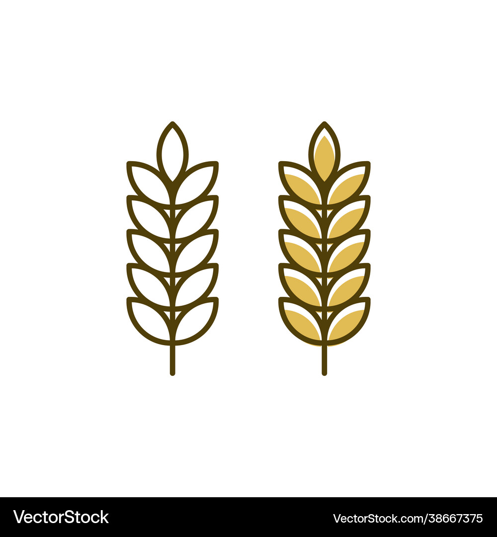 Agriculture wheat rice icon design Royalty Free Vector Image