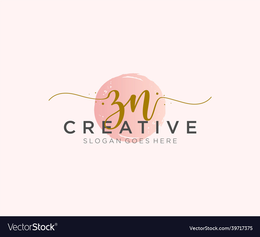 Initial zn feminine logo beauty monogram Vector Image