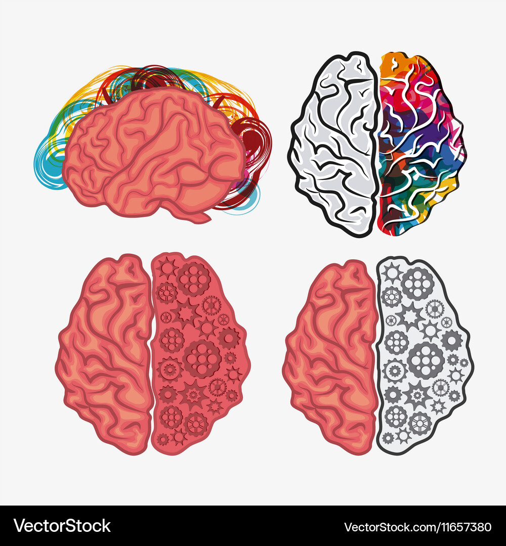 Brain of creative teamwork concept Royalty Free Vector Image