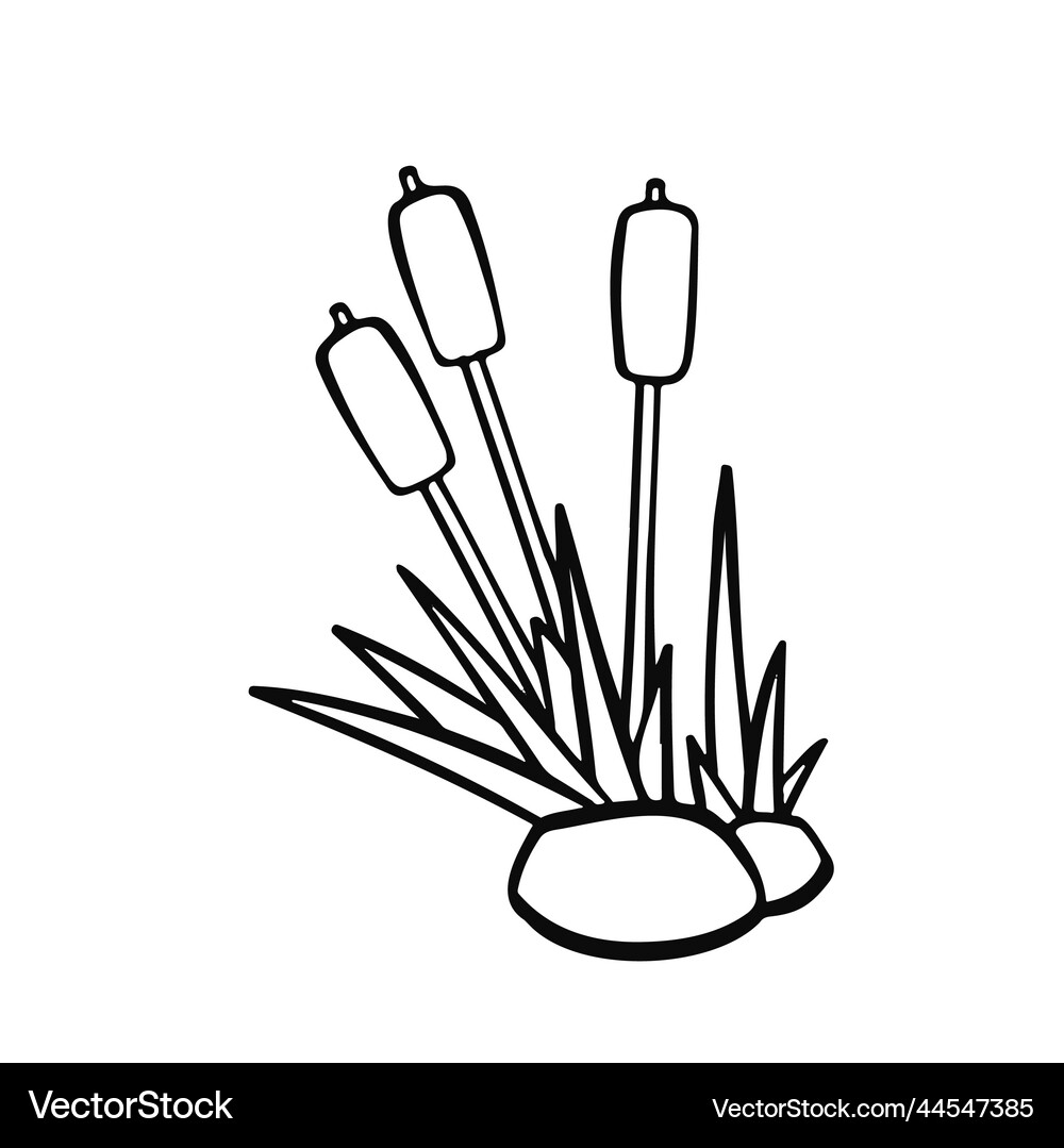 Cartoon reeds line and thicket Royalty Free Vector Image