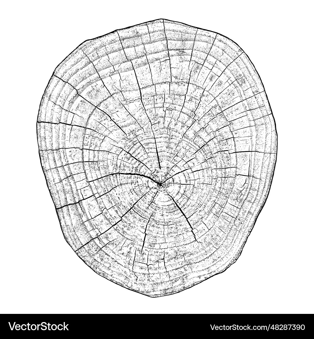 Distressed wood texture Royalty Free Vector Image