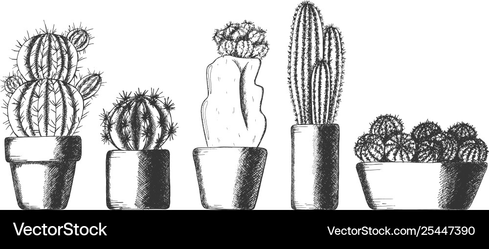 Set cute cactus houseplants in pots Royalty Free Vector