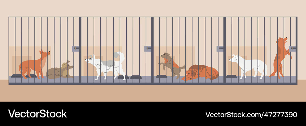 Stray dogs in cells flat style Royalty Free Vector Image