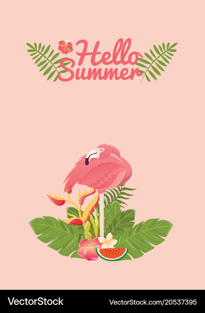 Flamingo bird design on background Royalty Free Vector Image