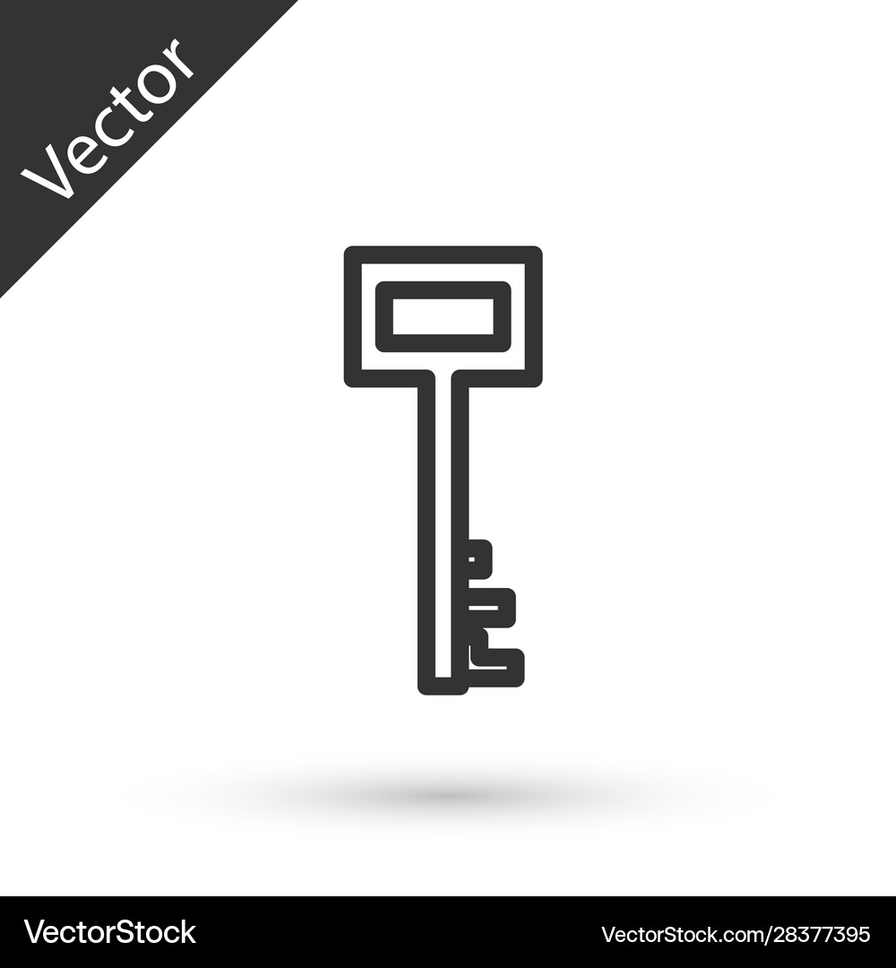 Grey line pirate key icon isolated on white Vector Image