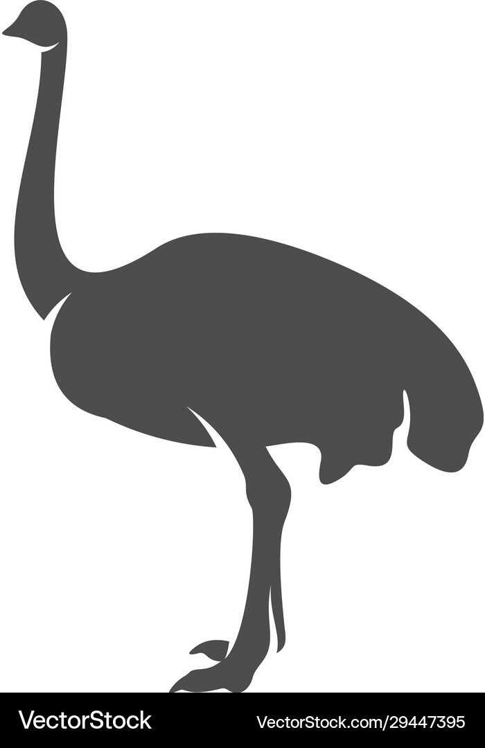 Ostrich logo animal graphic design Royalty Free Vector Image