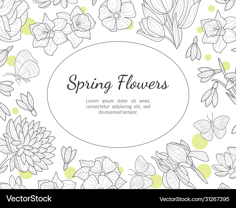 Spring flowers banner template with wild meadow Vector Image