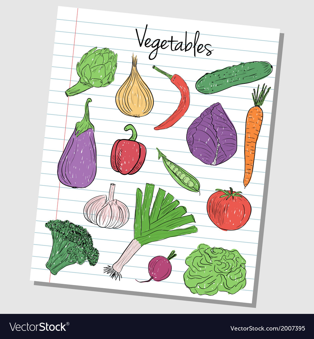 Vegetables doodles lined paper colored Royalty Free Vector