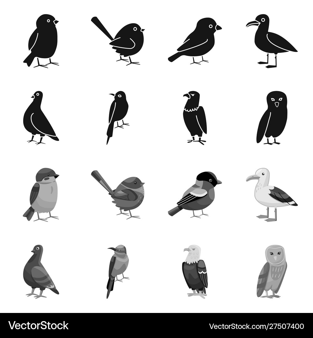 Animal and wild symbol Royalty Free Vector Image