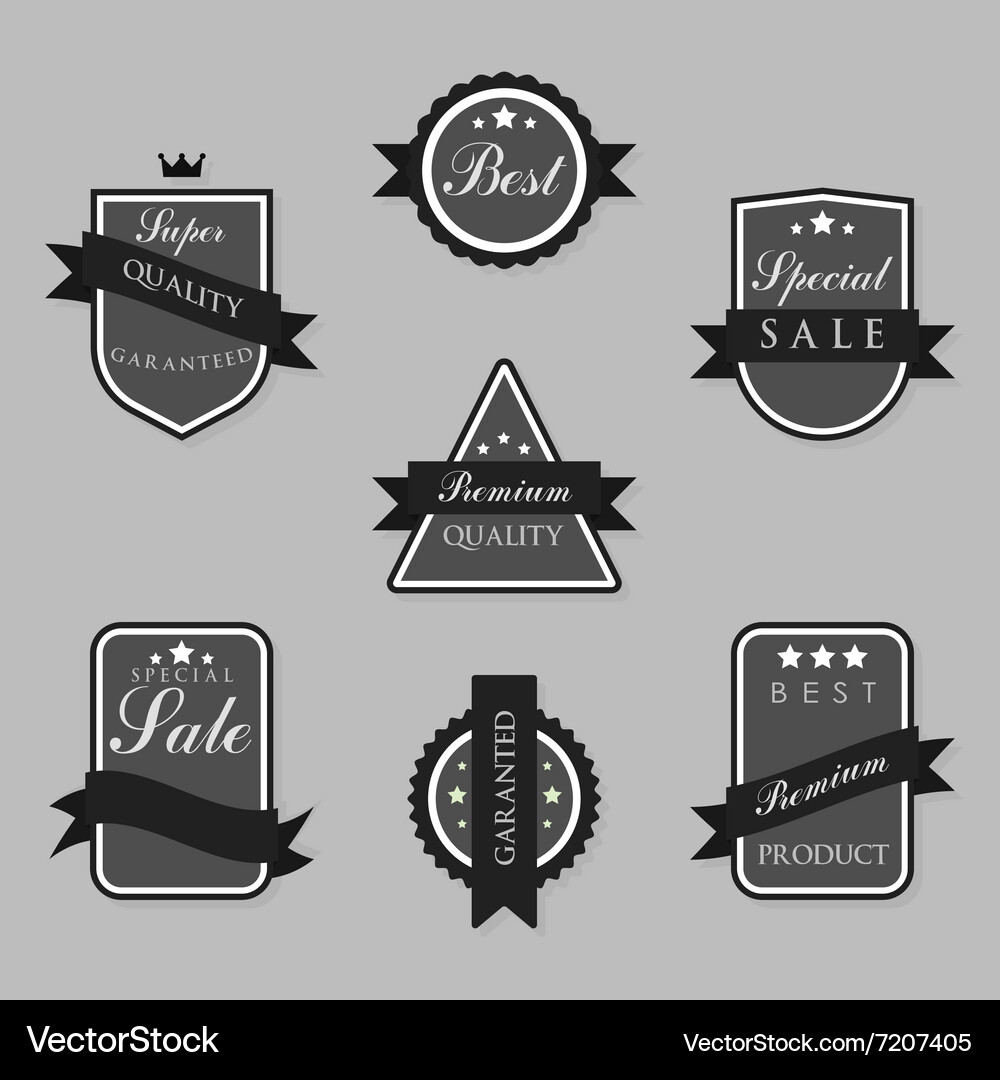 Collection of abstract label sticker tags Vector Image