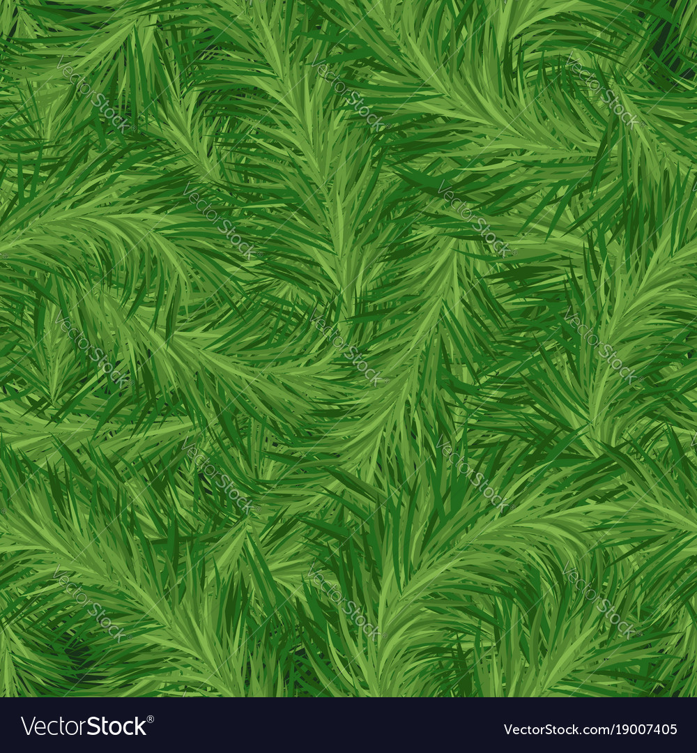 Seamless pine pattern Royalty Free Vector Image